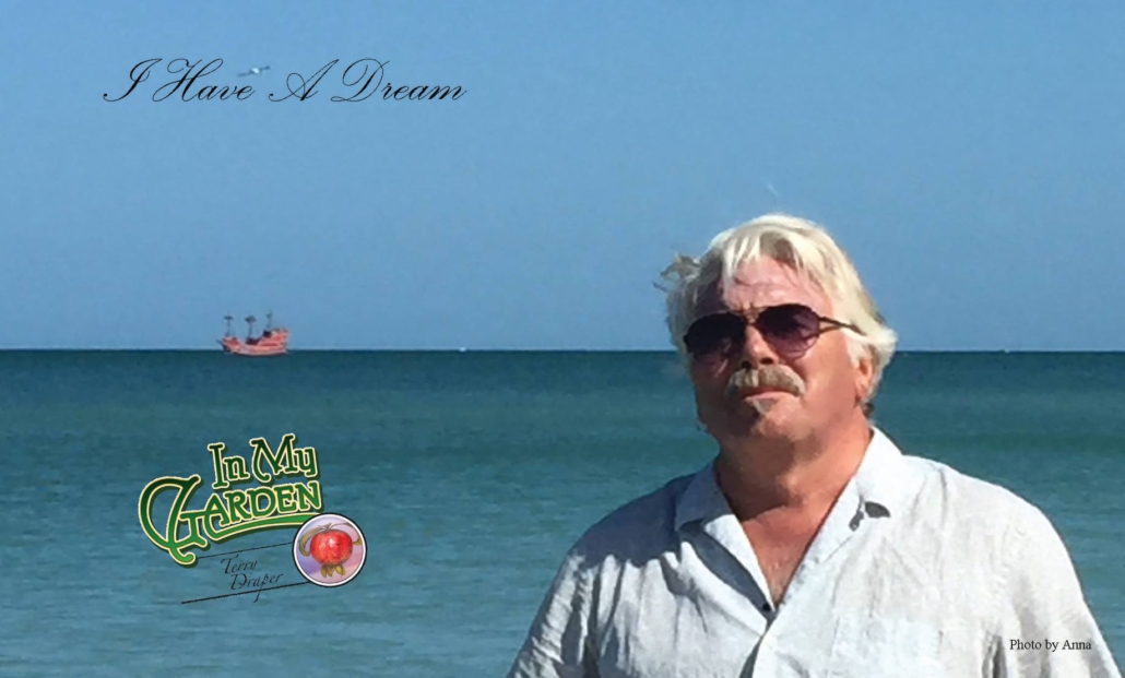 Gallery – Terry Draper